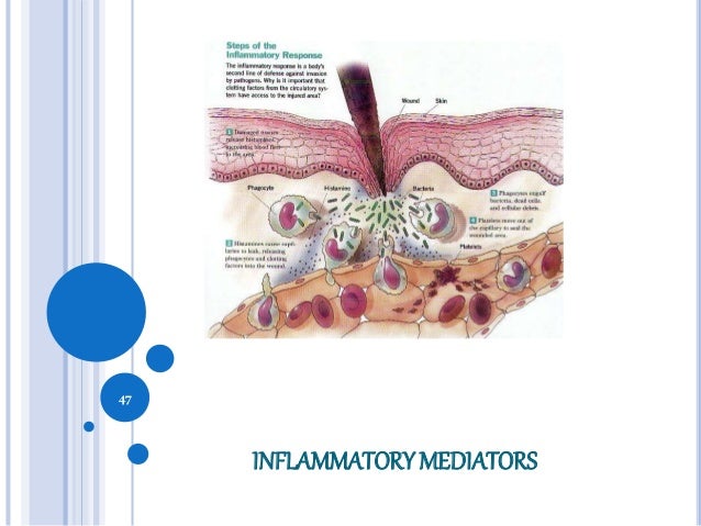 mediators of inflammation