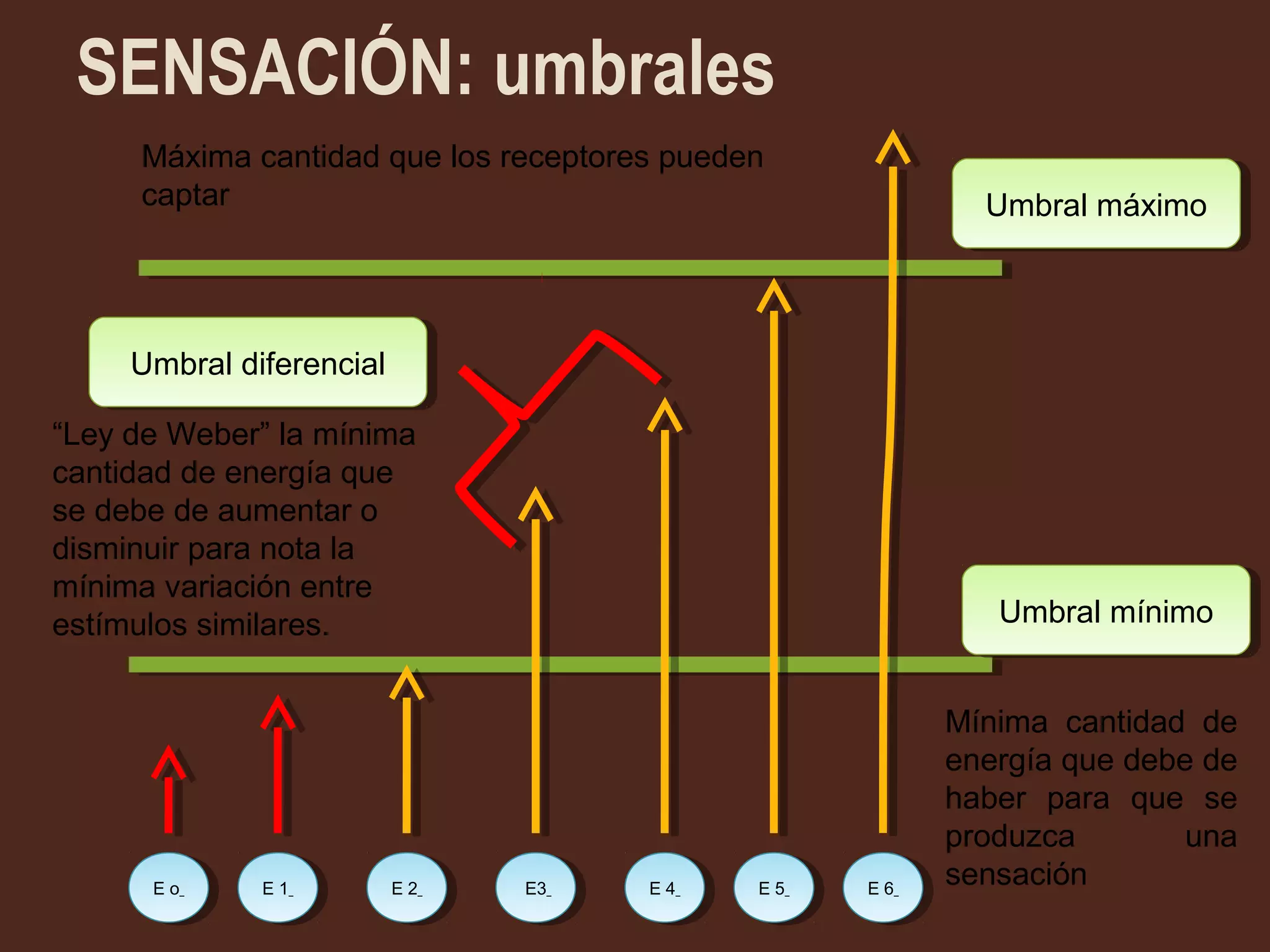 3 medio procesoscognitivos sintesis | PPT | Physics | Science