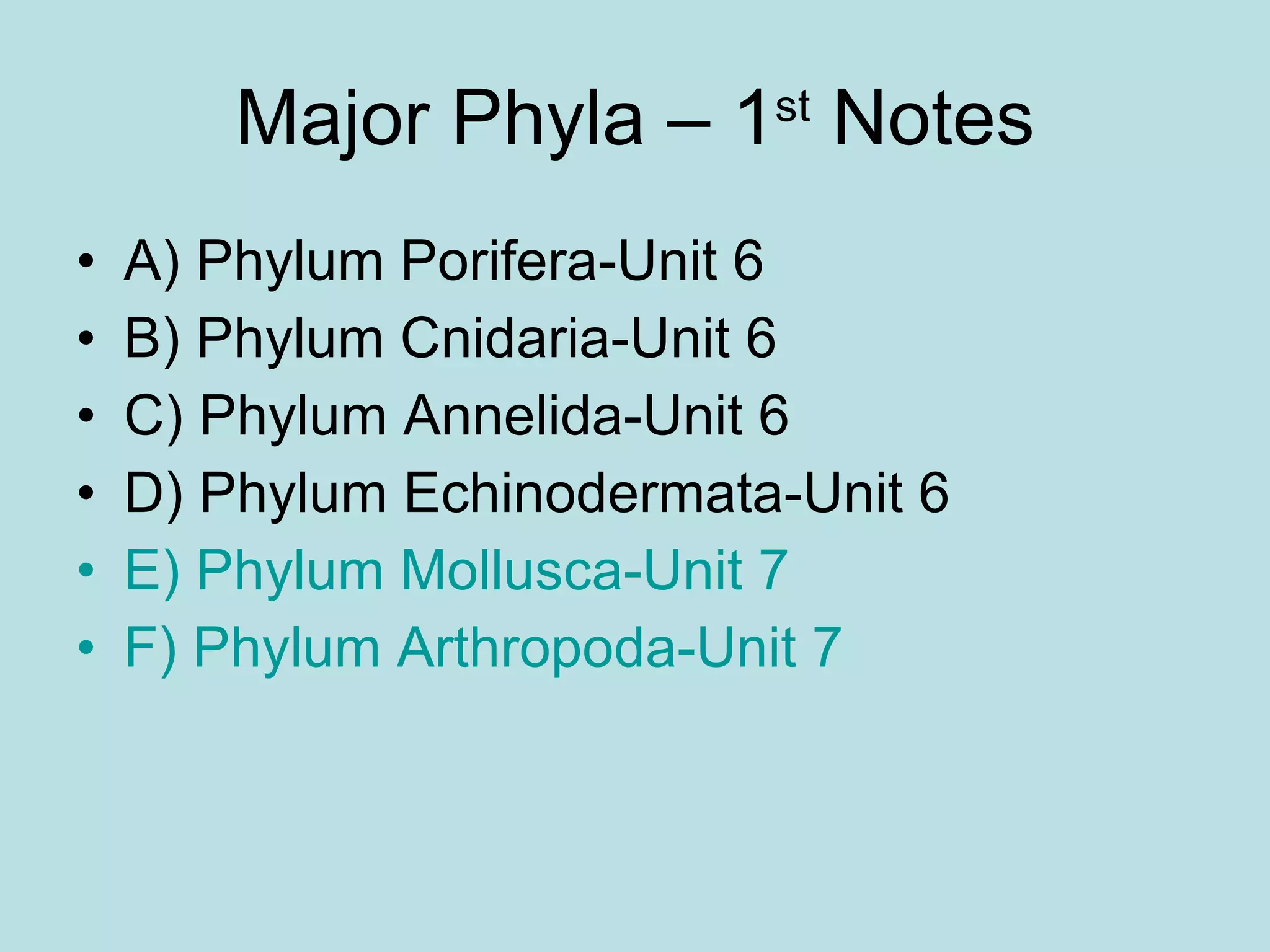 3 meet the invertebrates | PPT