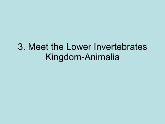 3 meet the invertebrates | PPT
