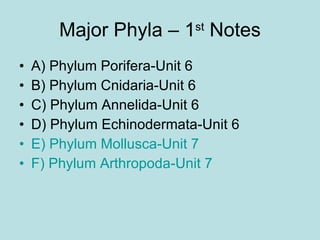 3 meet the invertebrates | PPT