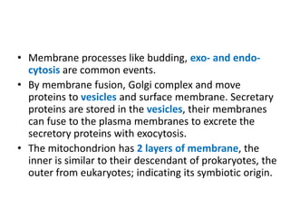 Membrane structure and transport for medical school | PPTX