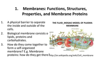 Membrane structure and transport for medical school | PPTX