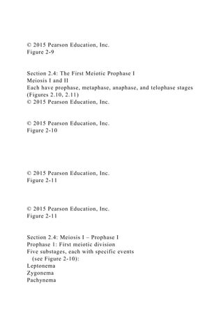 3Mendelian Genetics© 2015 Pearson Education, Inc.Chapt.docx