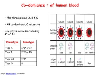 Mendellian Inheritance and Gene Action | PPTX
