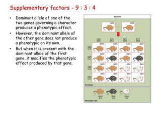 Mendellian Inheritance and Gene Action | PPTX