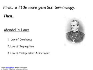 Mendellian Inheritance and Gene Action | PPTX