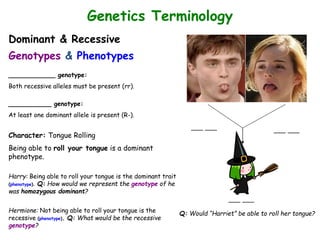 Mendellian Inheritance and Gene Action | PPTX