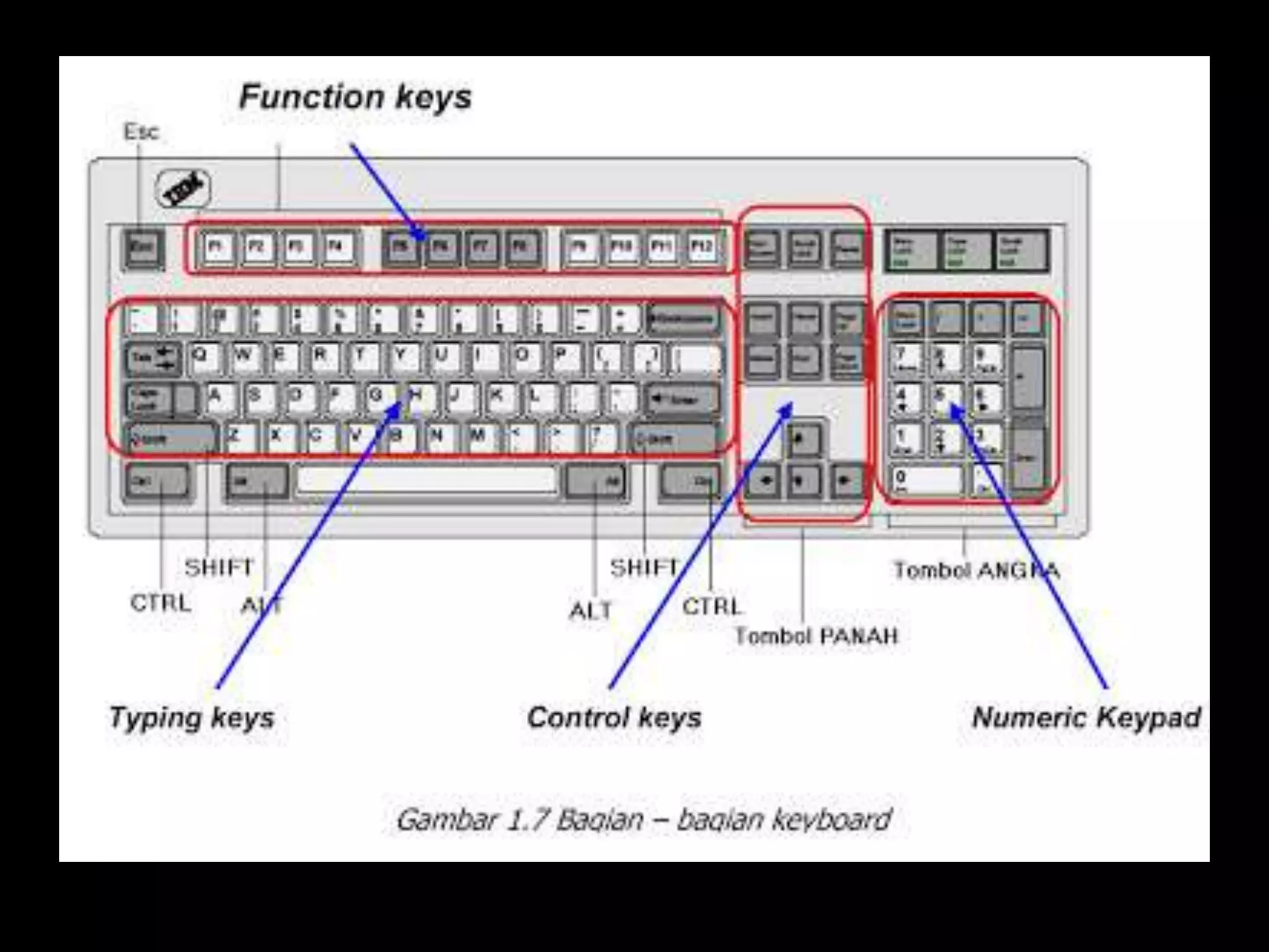 3 menerapkan pengetikan (keyboarding) 10 jari | PPTX