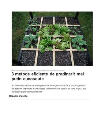3 metode eficiente de gradinarit mai putin cunoscute | DOCX