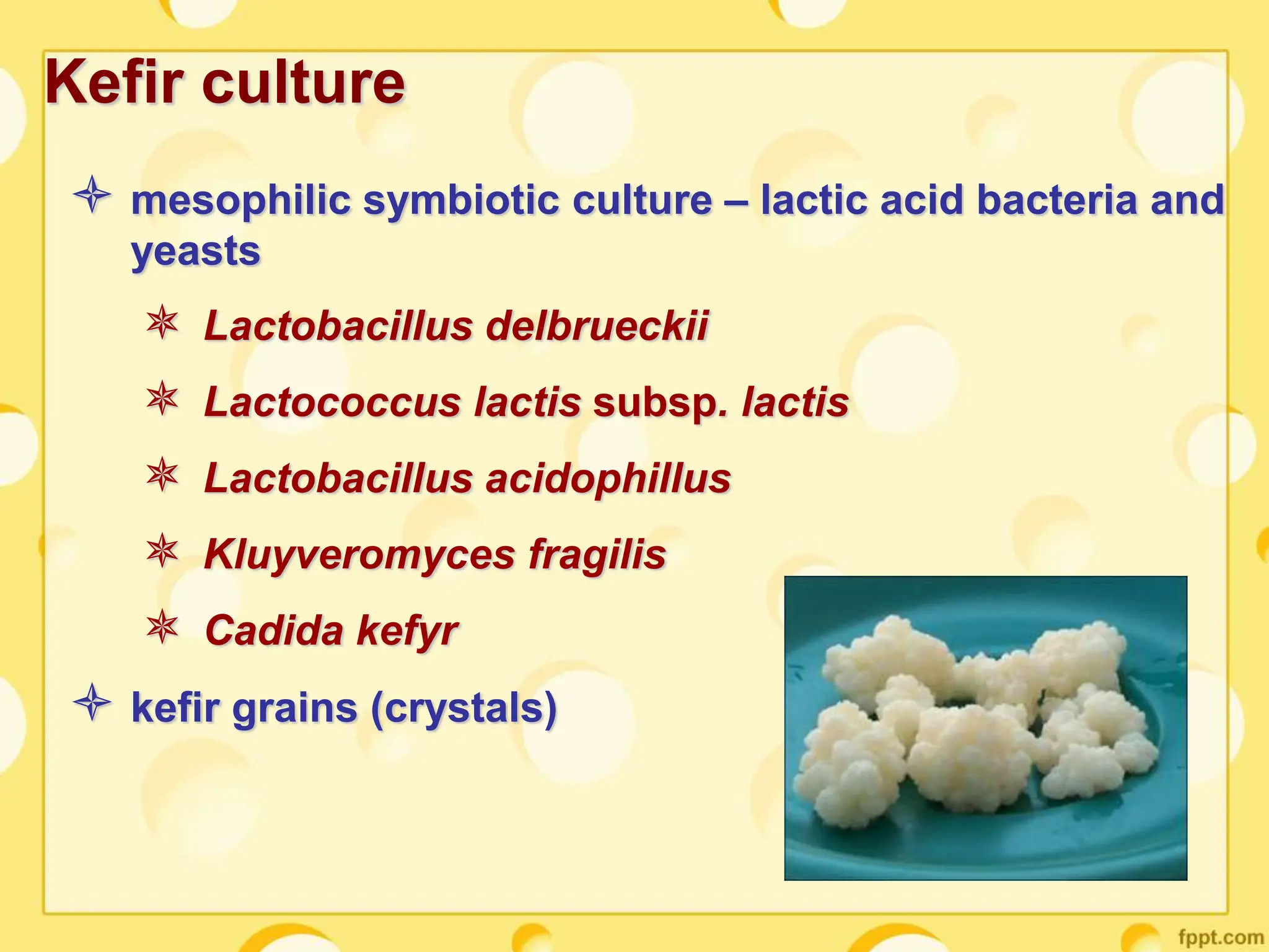 Microbial _culture_ with butter_ innovation | PPTX