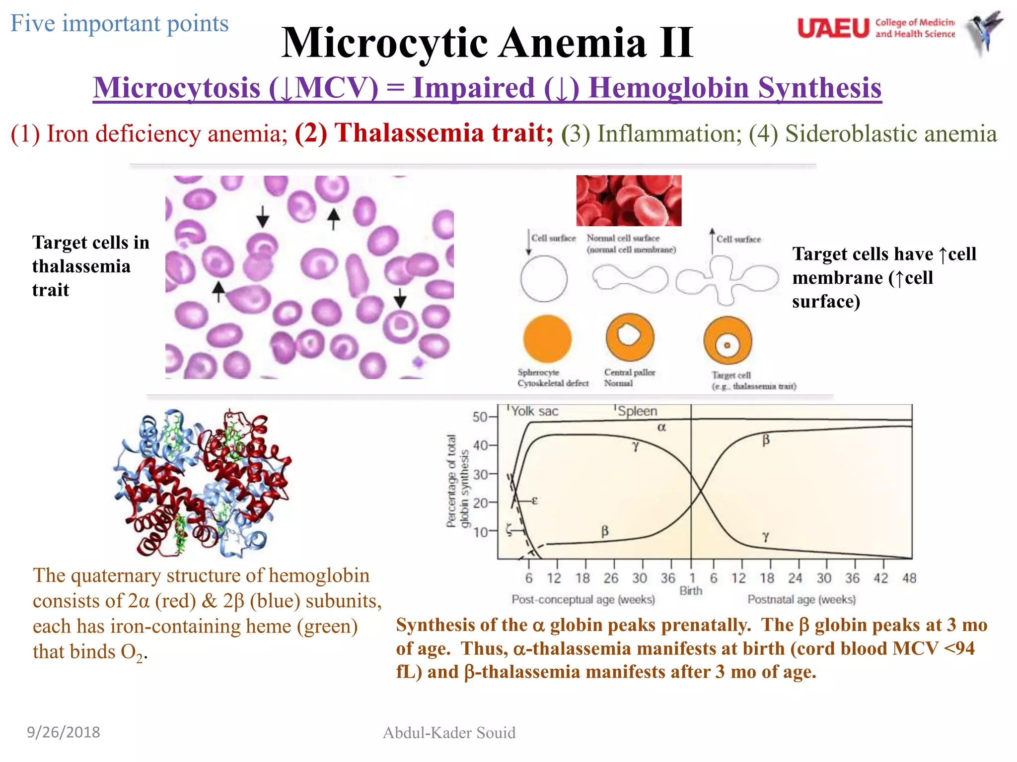 3 microcytic anemia ii-thalassemia trait.ppt