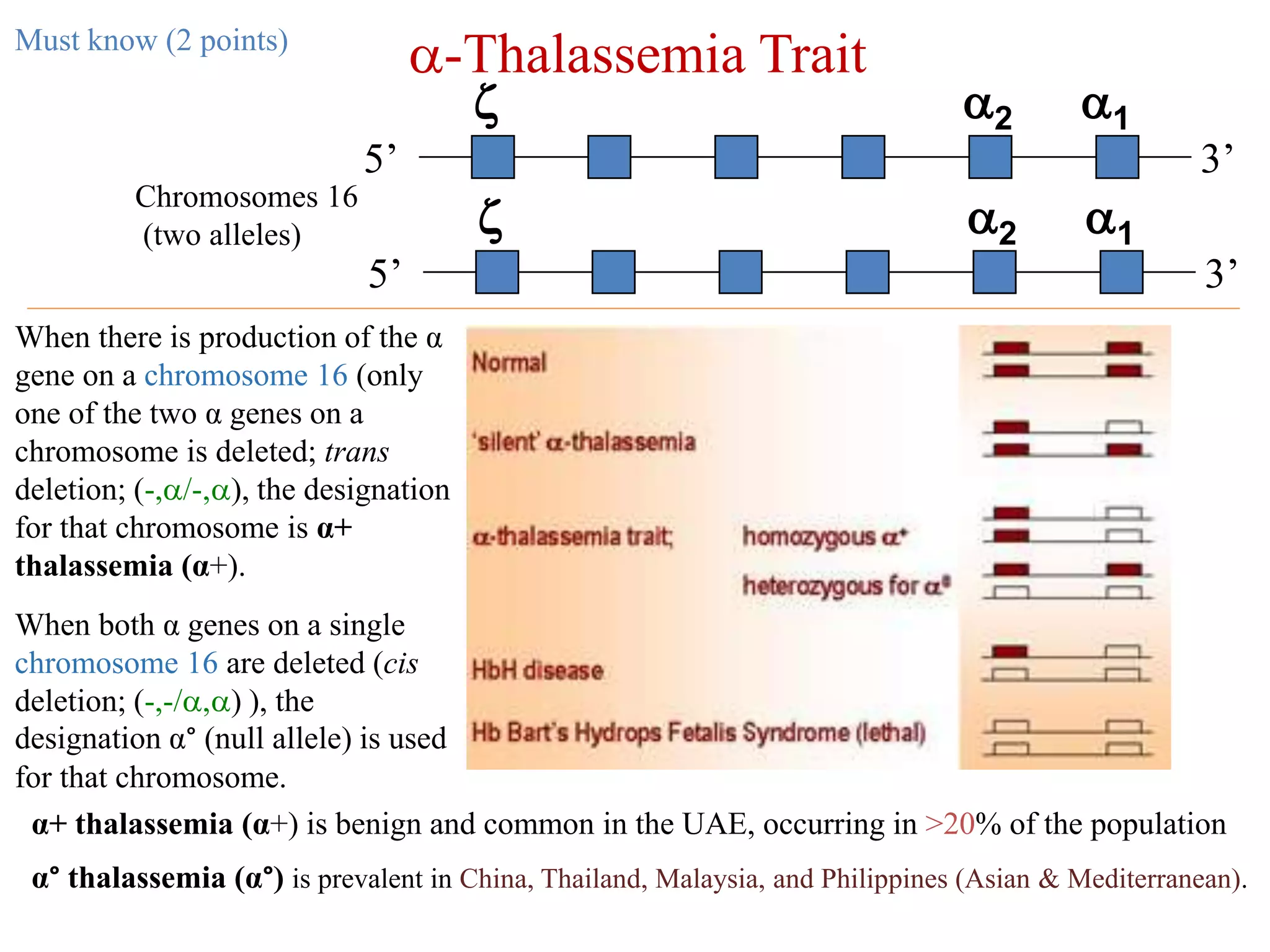 3 microcytic anemia ii-thalassemia trait.ppt