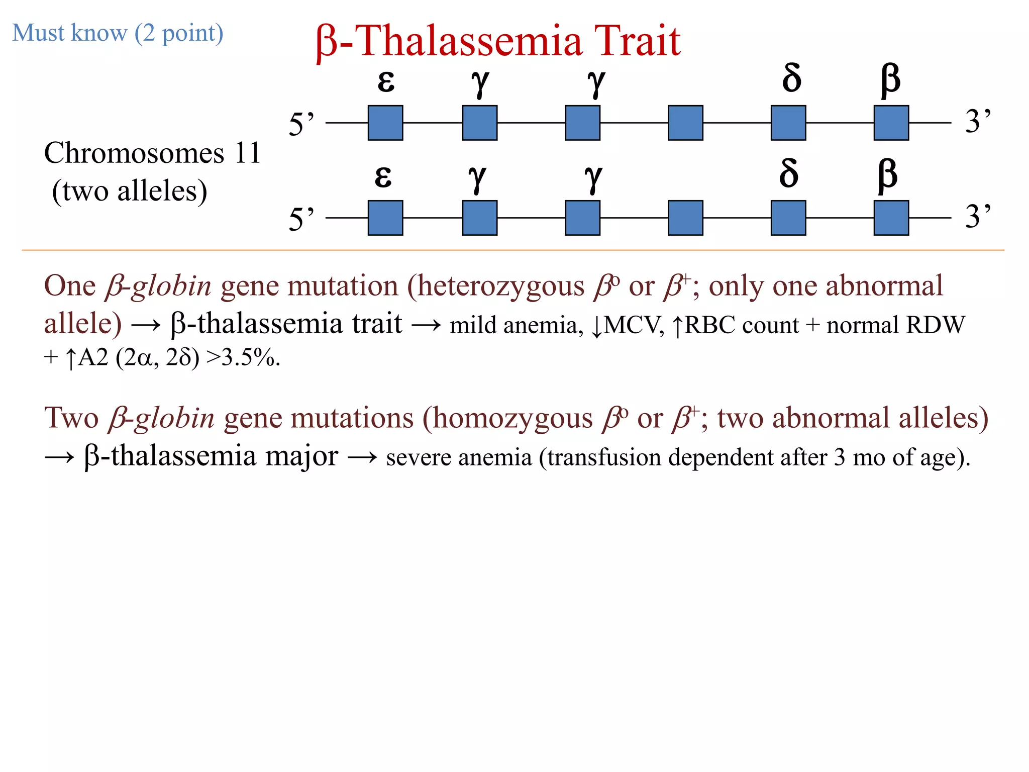 3 microcytic anemia ii-thalassemia trait.ppt