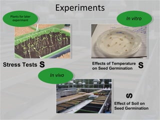 3min presentation | PPT