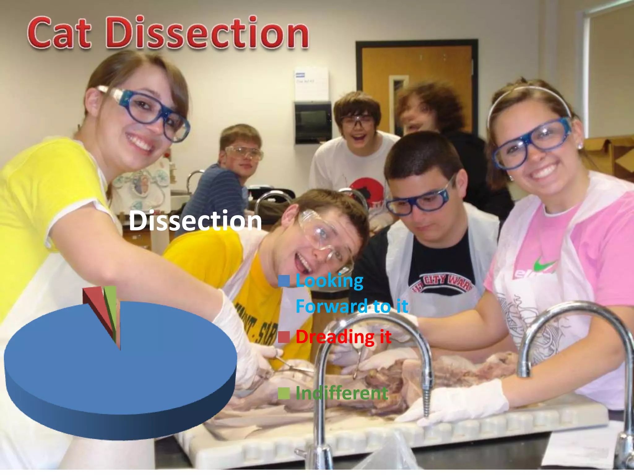 3 Minute Presentation | PPTX