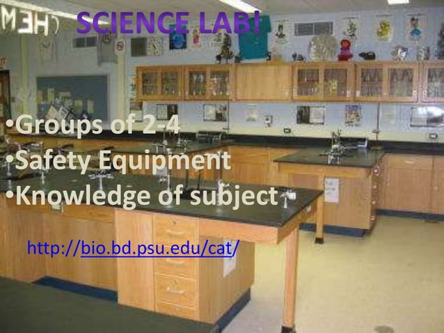 3 Minute Presentation | PPTX