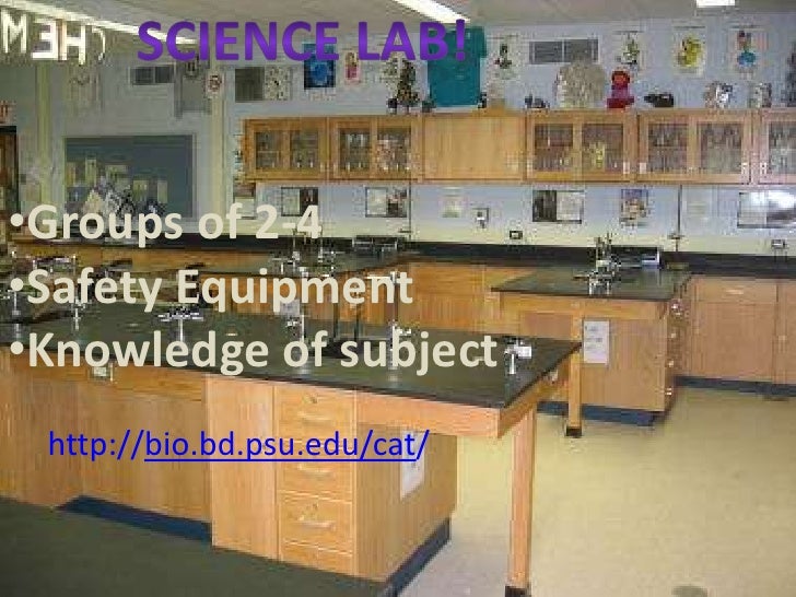 3 Minute Presentation