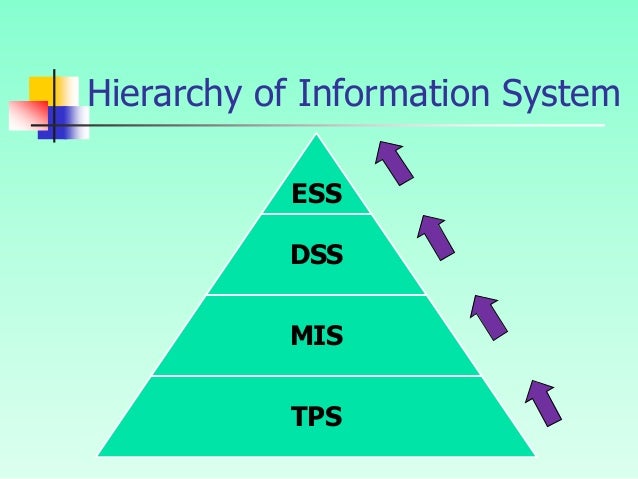 3 mis & business functions