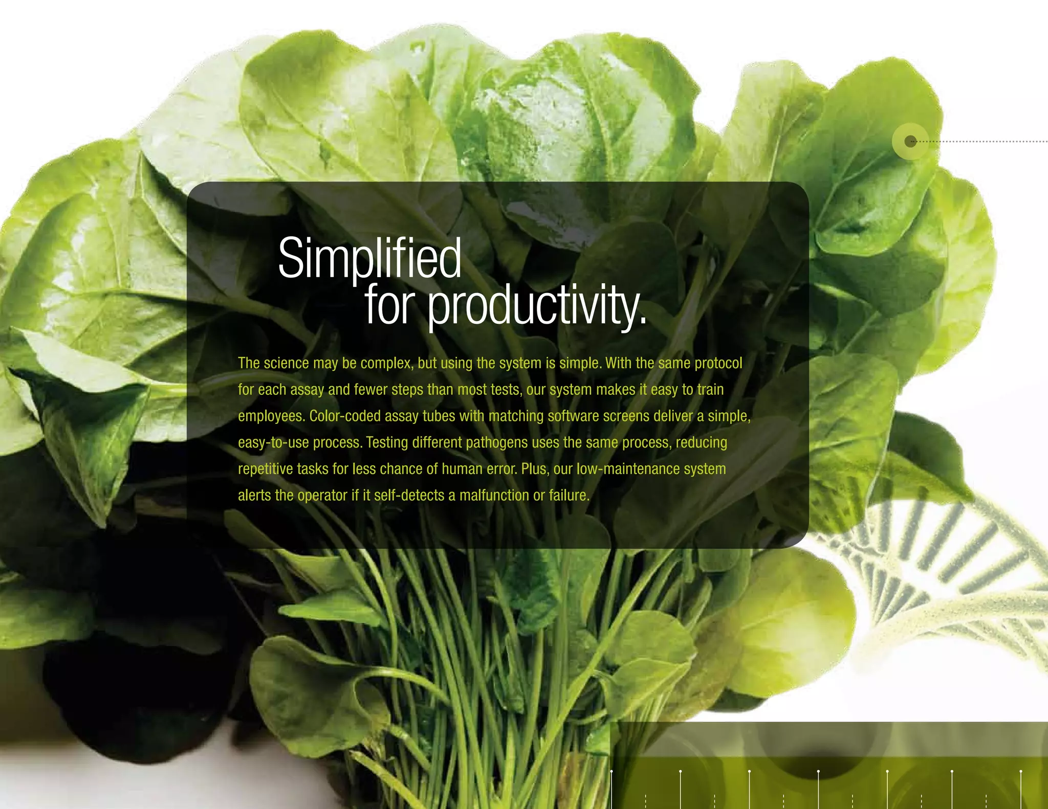 3 M Molecular Detection System Pdf Chemistry Science