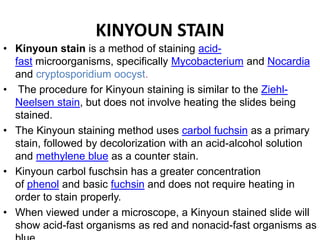 Modified Ziehl-Neelsen Stain | PPT