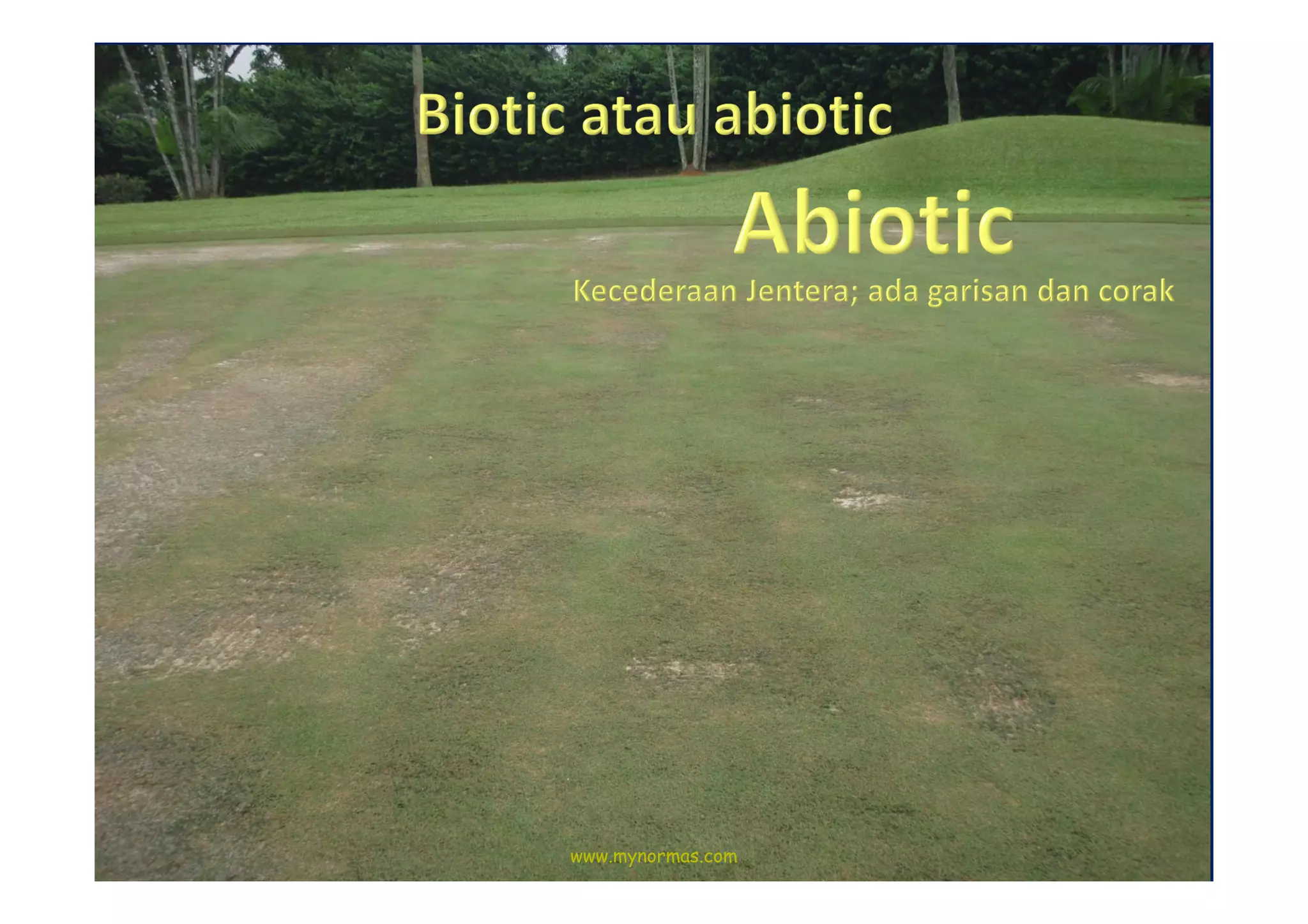 Diagnosis penyakit rumput | PDF