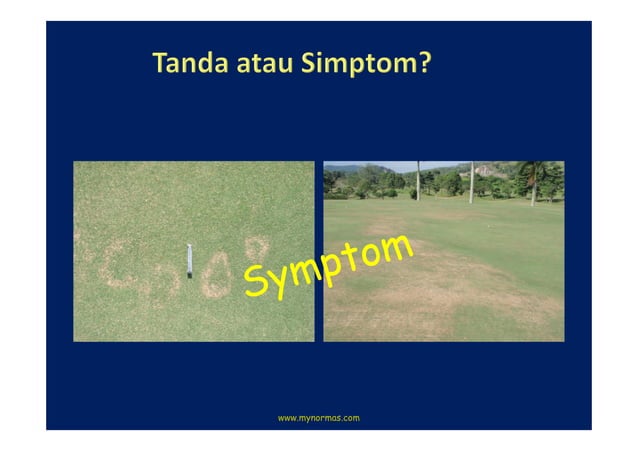 Diagnosis penyakit rumput | PPT