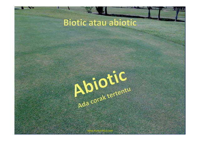 Diagnosis penyakit rumput | PPT