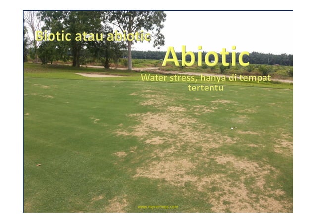 Diagnosis penyakit rumput | PPT