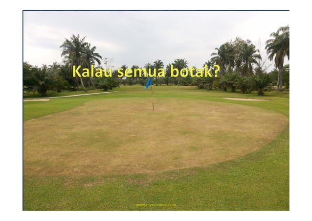 Diagnosis penyakit rumput | PPT