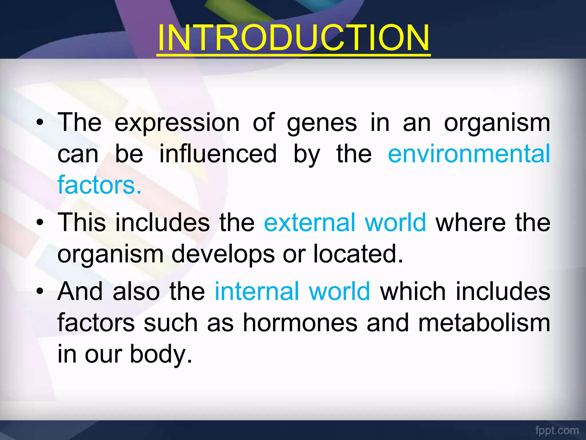 ENVIRONMENTAL EFFECTS ON GENE REGULATION | PPTX