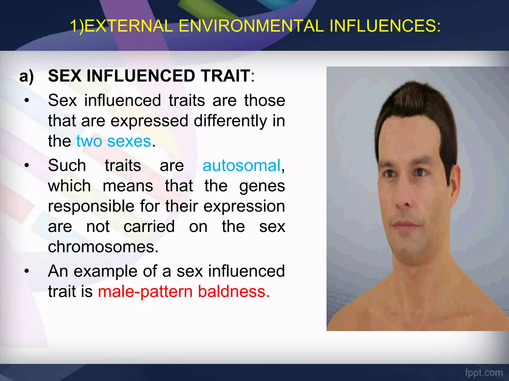 ENVIRONMENTAL EFFECTS ON GENE REGULATION | PPTX