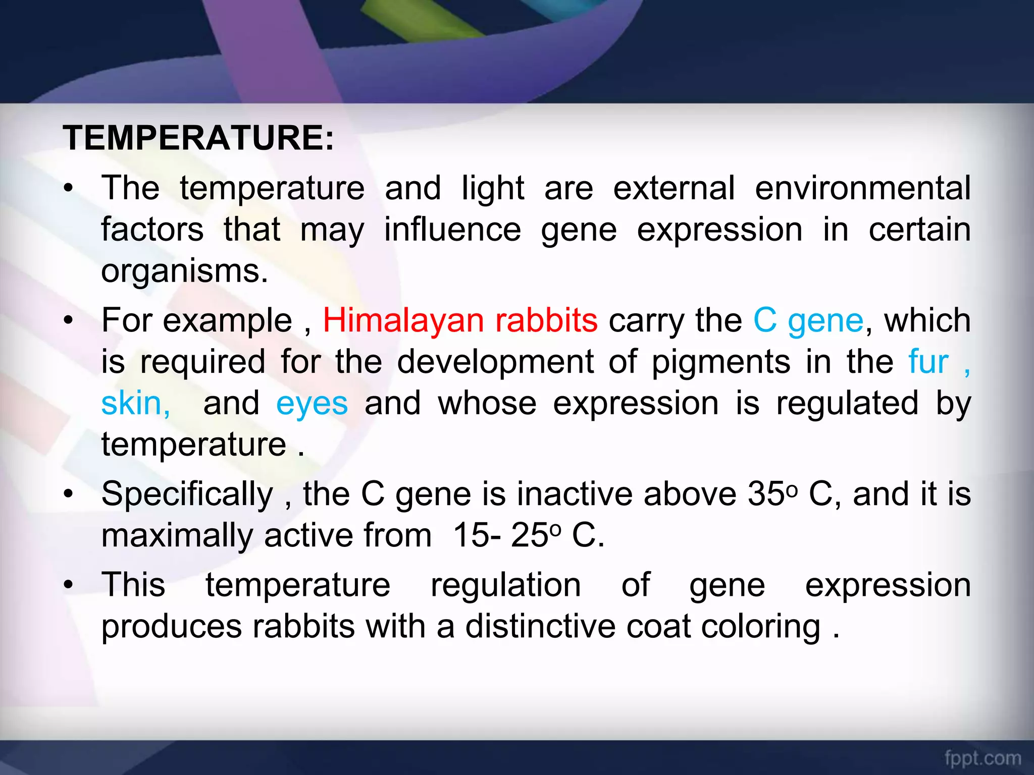 ENVIRONMENTAL EFFECTS ON GENE REGULATION | PPTX