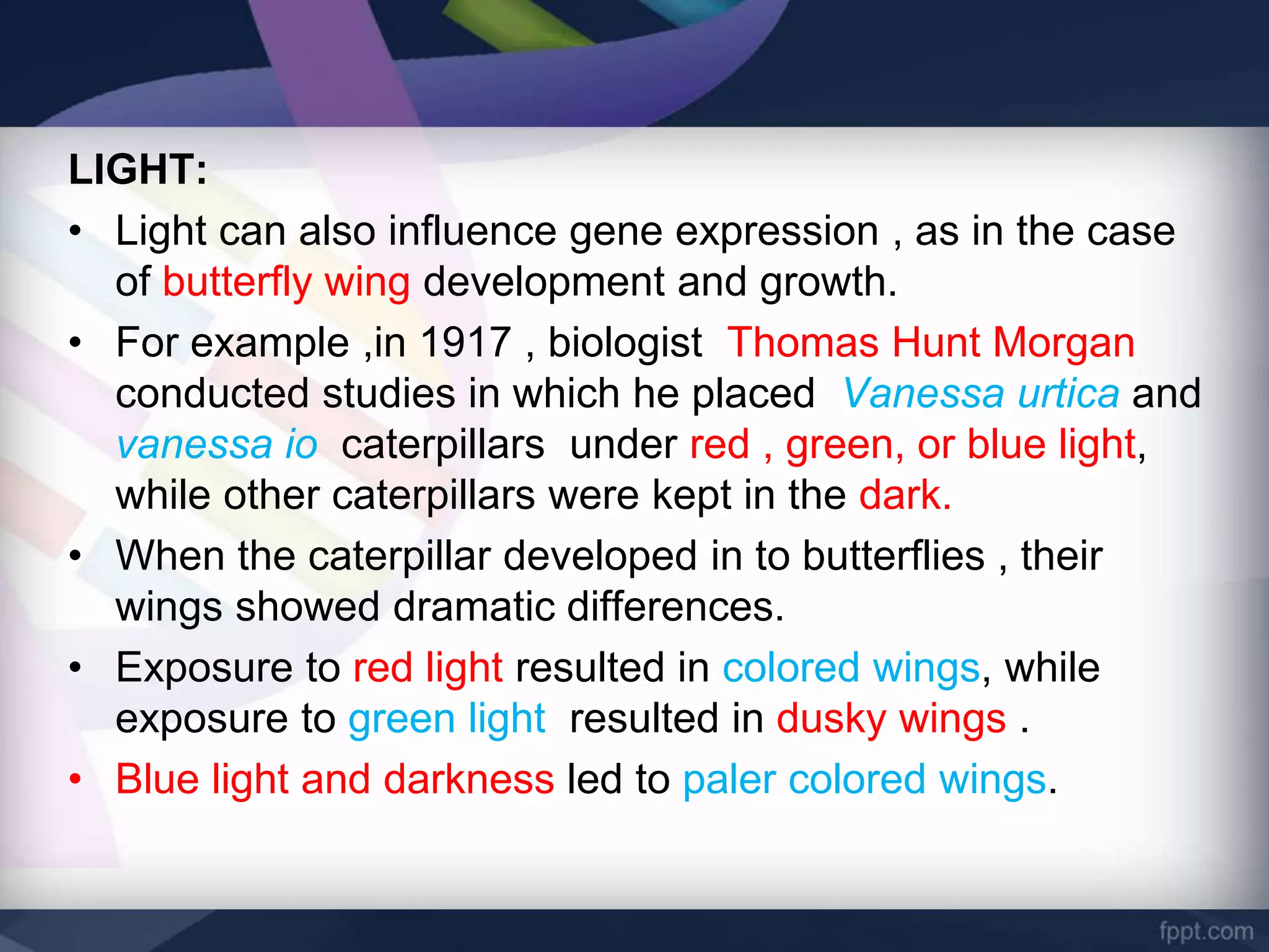 ENVIRONMENTAL EFFECTS ON GENE REGULATION | PPTX