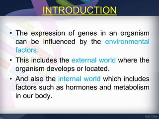 ENVIRONMENTAL EFFECTS ON GENE REGULATION | PPTX