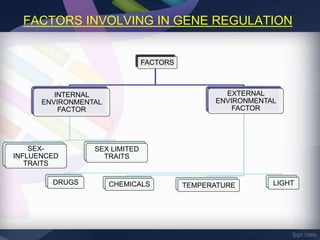 ENVIRONMENTAL EFFECTS ON GENE REGULATION | PPTX
