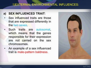 ENVIRONMENTAL EFFECTS ON GENE REGULATION | PPTX