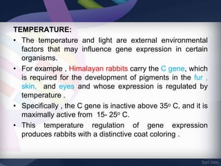 ENVIRONMENTAL EFFECTS ON GENE REGULATION | PPTX