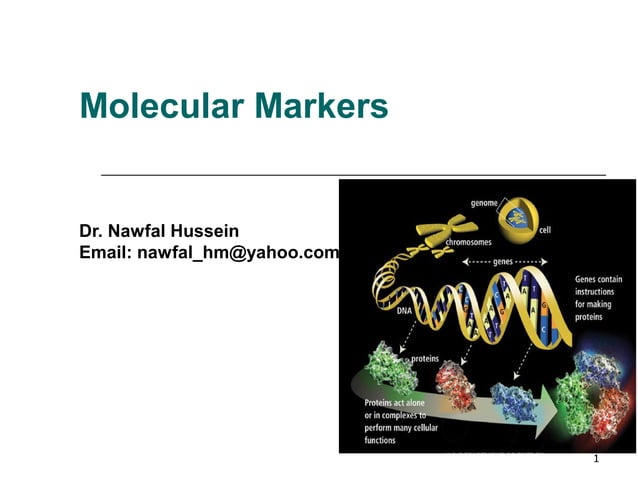 molecular markers | PPT | Genetics | Science