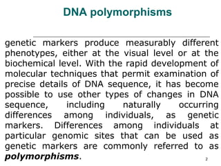 molecular markers | PPT | Genetics | Science