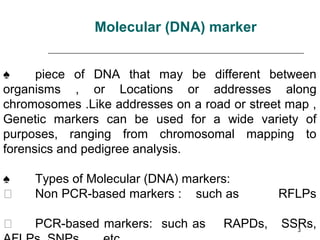 molecular markers | PPT | Genetics | Science