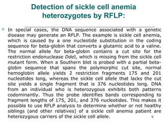 molecular markers | PPT | Genetics | Science