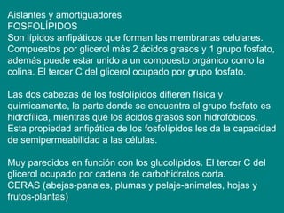 Moleculas Organicas | PPT