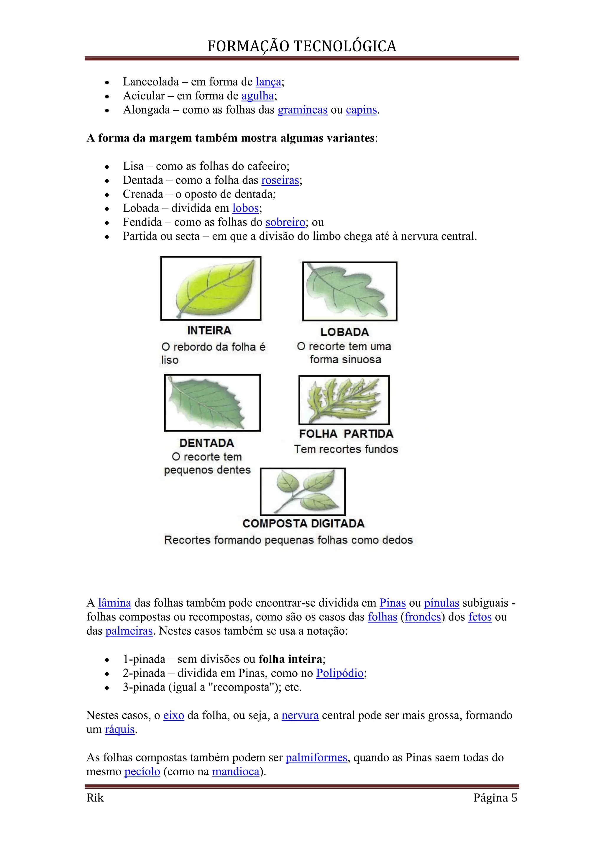 3 morfologia vegetal_folhas | PDF