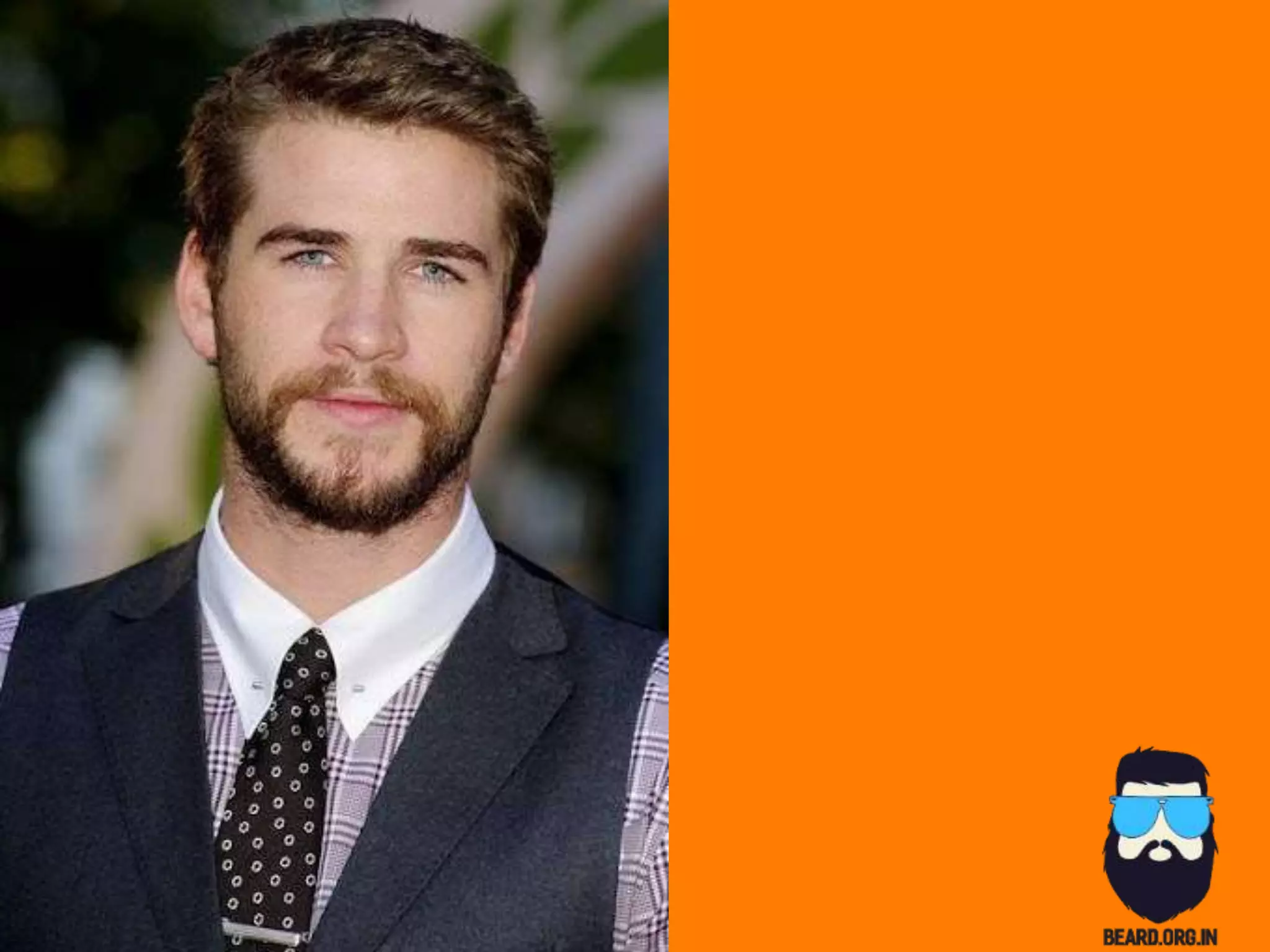3 moustaches that complement the anchor beard | PPTX