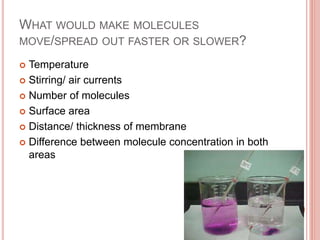 3 movement of molecules 2019 | PPTX