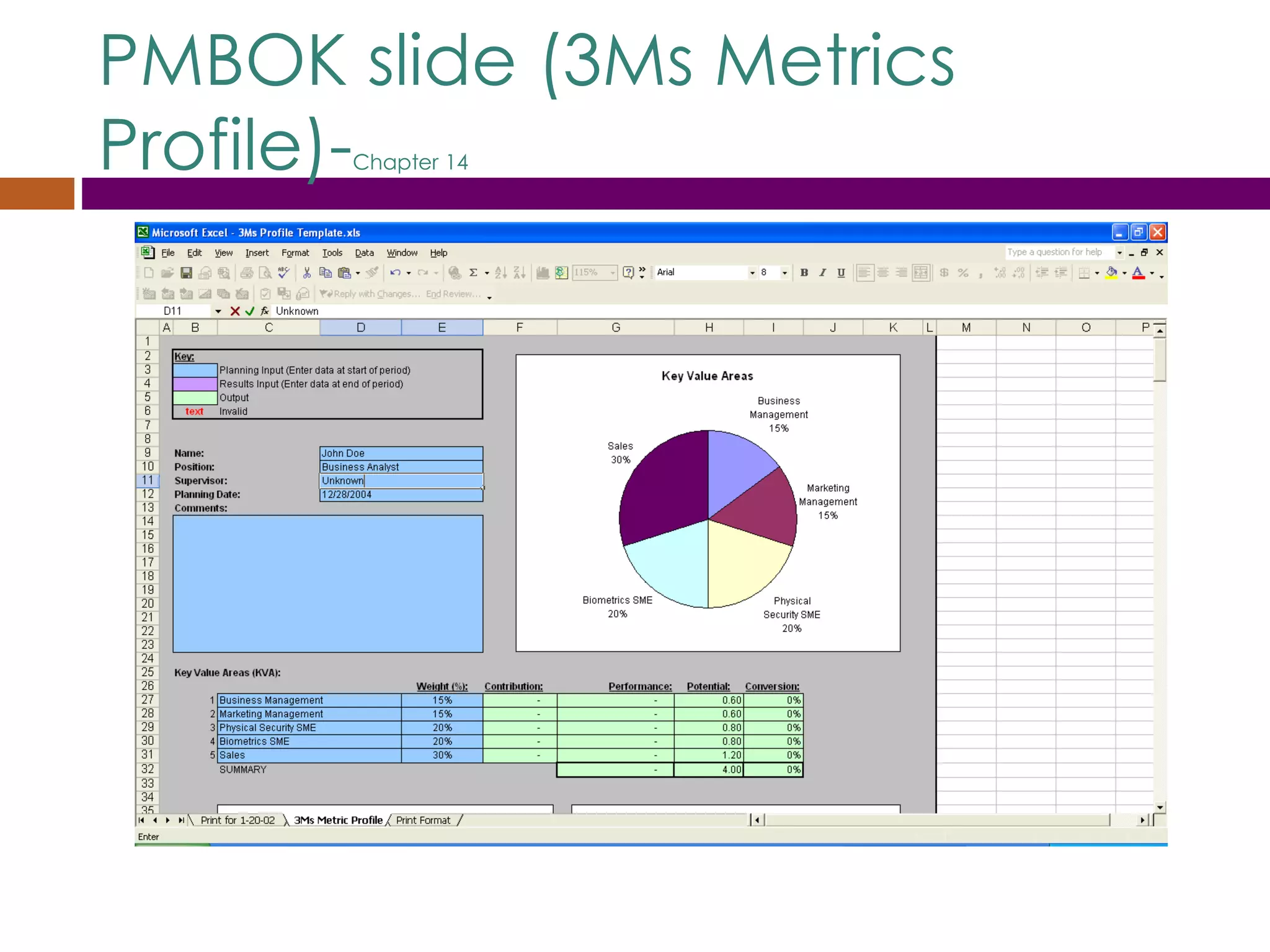 The Metrics of Project Management Performance and PMBOK | PDF