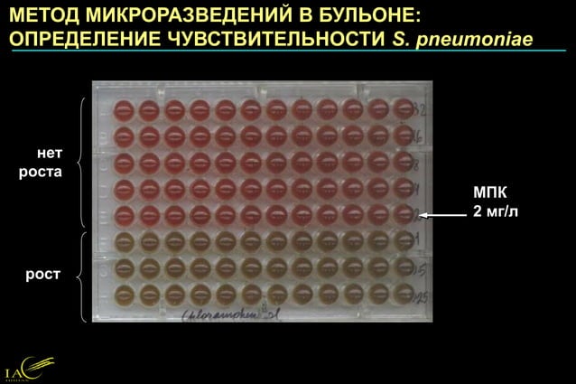 In vitro antimicrobial susceptibility testing (RUS) | PPT