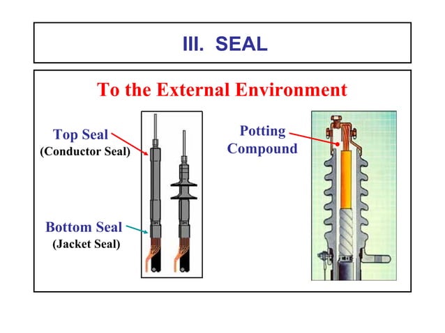 3m termination | PPT | Physics | Science