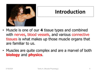 Muscle Physiology muscle is important tissue in maintenance of body ...